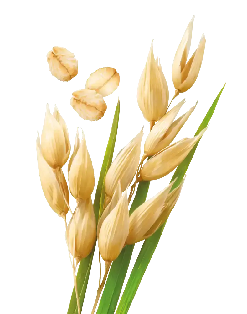 Coco Loco Chocolate Cake | Alpro